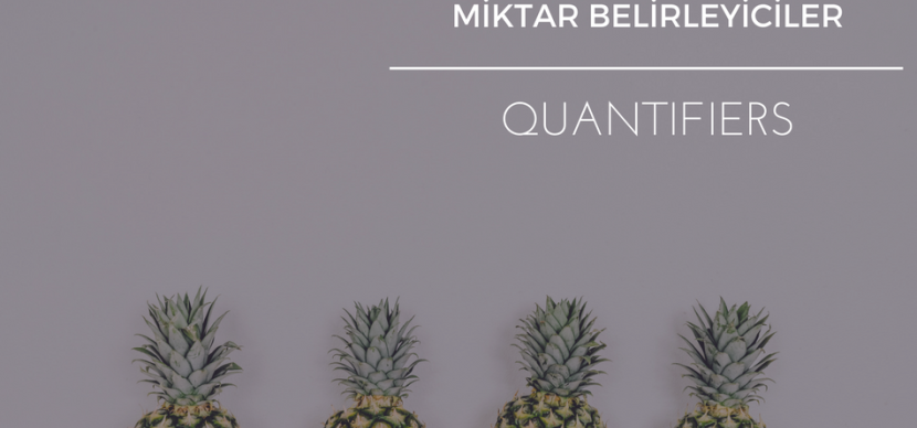 QUANTIFIERS (Miktar Belirleyiciler) | Kaplan International